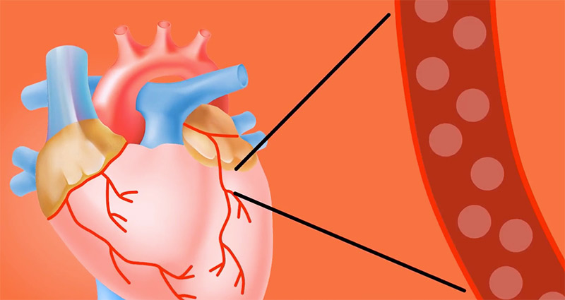 Video: The Role Of Oxygen In The Human Body - Boost Oxygen